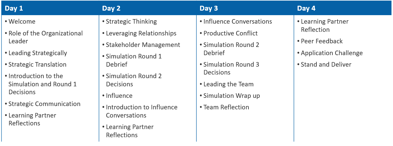 Executing Strategy Insight Experience